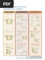 AOS Injury Classification Systems Poster UPPERCERVICAL | PDF | Spinal ...