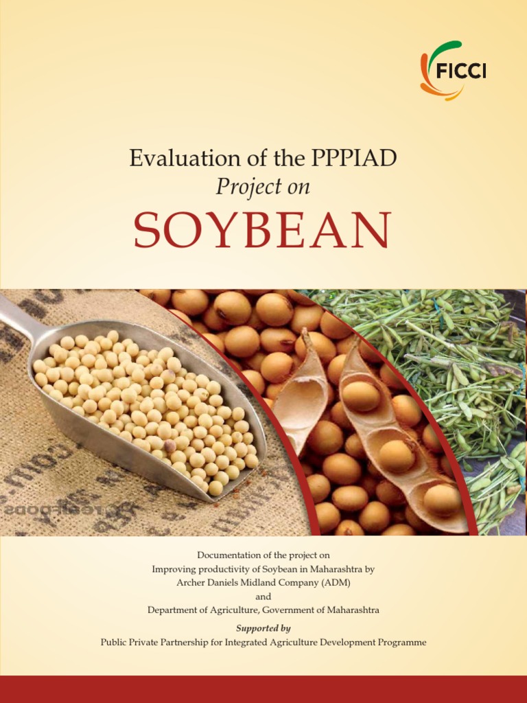 Soybean Report | Download Free PDF | Soybean | Public–Private Partnership