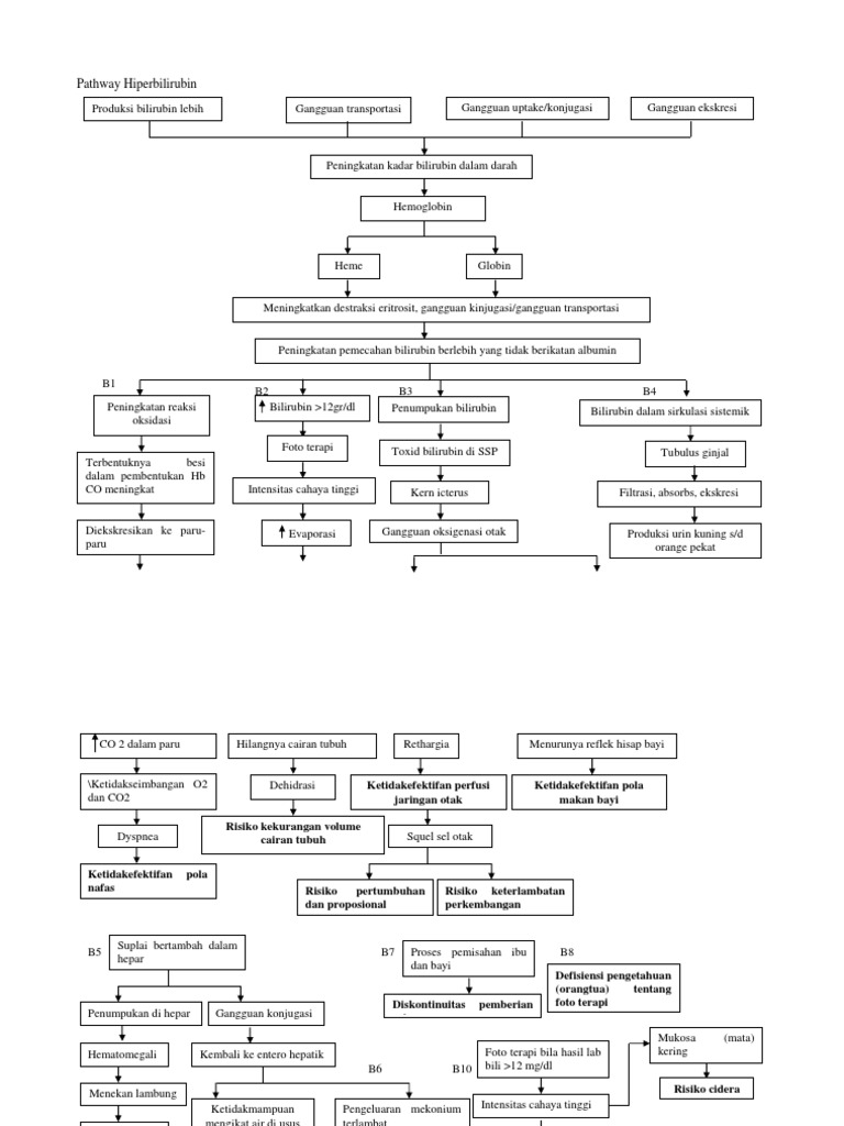 Pathway Hiperbilirubin | PDF