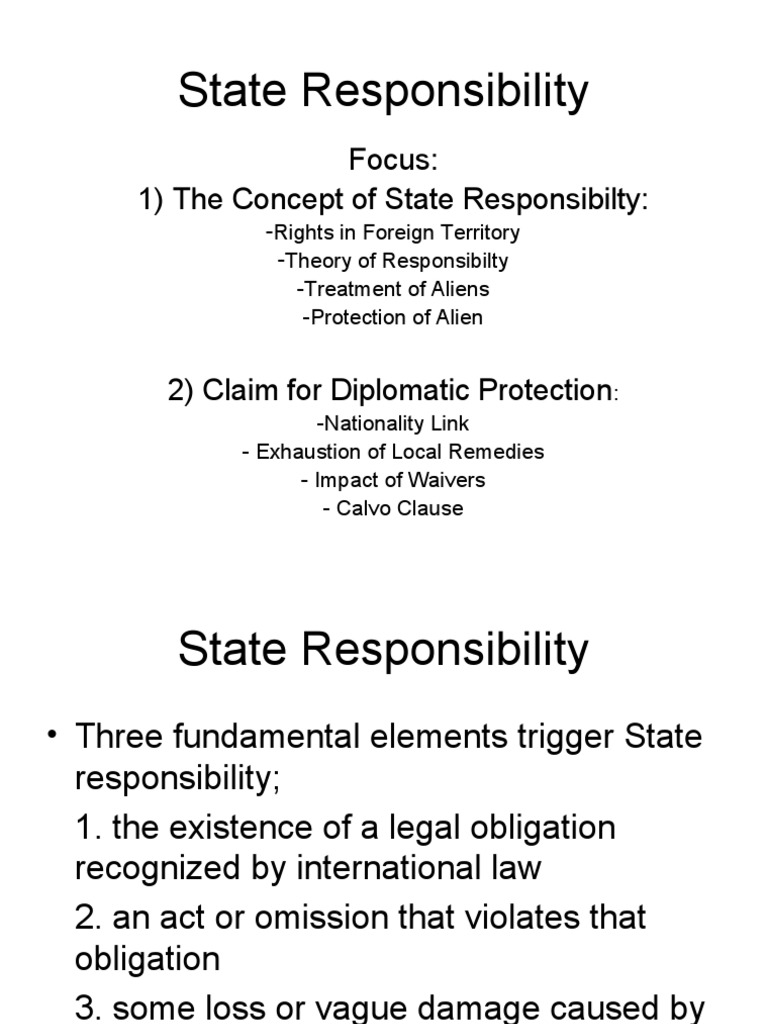 State Responsibility: Focus: 1) The Concept of State Responsibilty ...