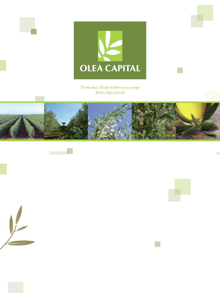 Bochure FR en Olea Capital | PDF
