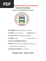 Neutro Corrido Cfe | PDF | Transformador | Energia electrica