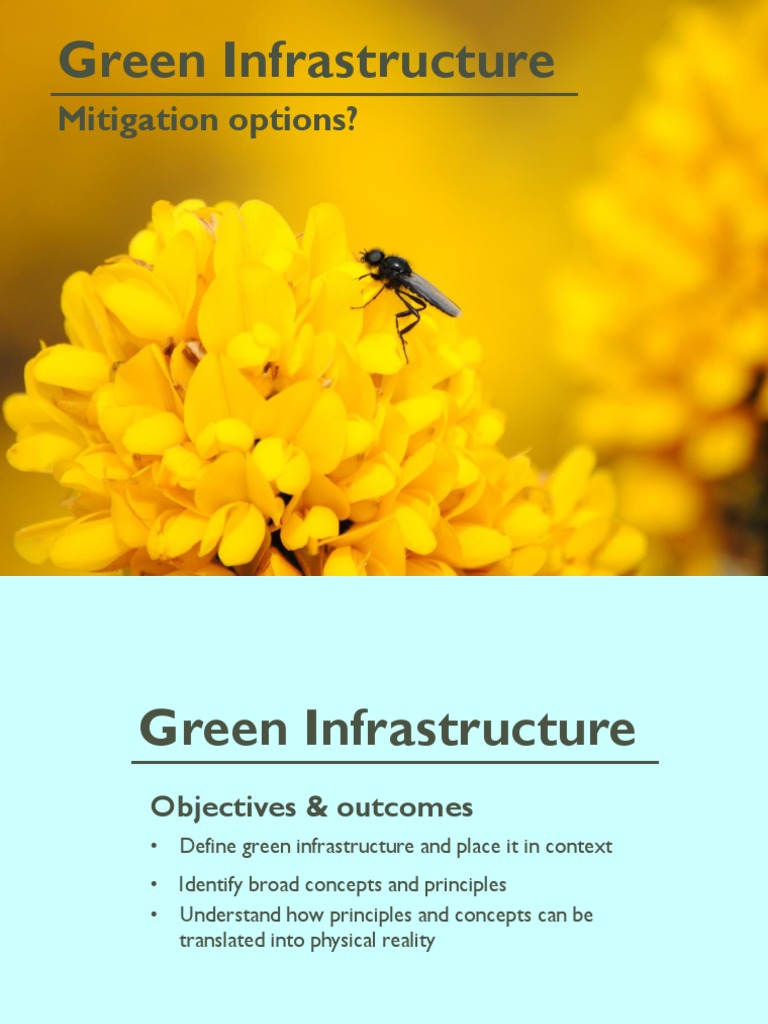 Green Infrastructure: Exploring Concepts, Principles, and Case Studies ...