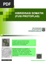 Somatic Hybridization | PDF | Ploidy | Hybrid (Biology)