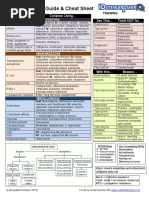 Antimicrobial Spectrum Overview Guide | PDF