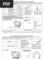 ERIG Infiltration | PDF | Injection (Medicine) | Rabies