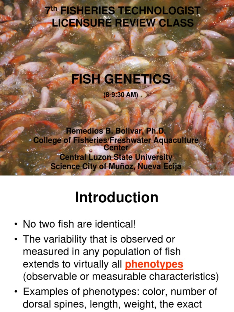Fish Genetics (Part 1) - LEFT Review Class (CLSU) | PDF | Meiosis | Ploidy
