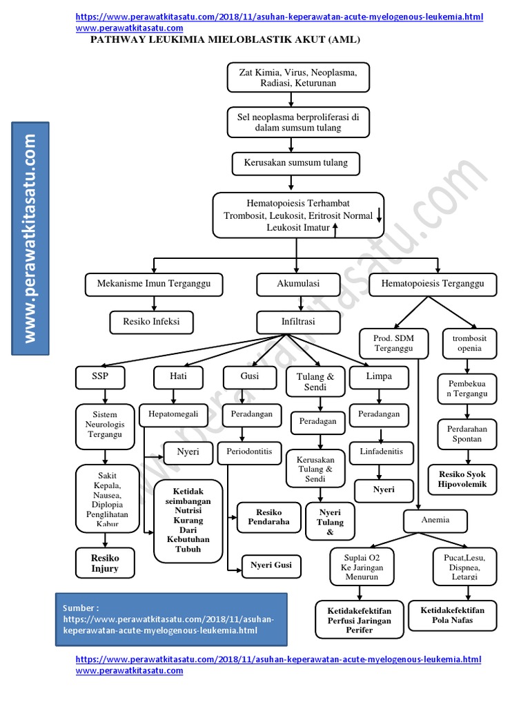 Pathway Leukemia Mieloblastik Akut | PDF