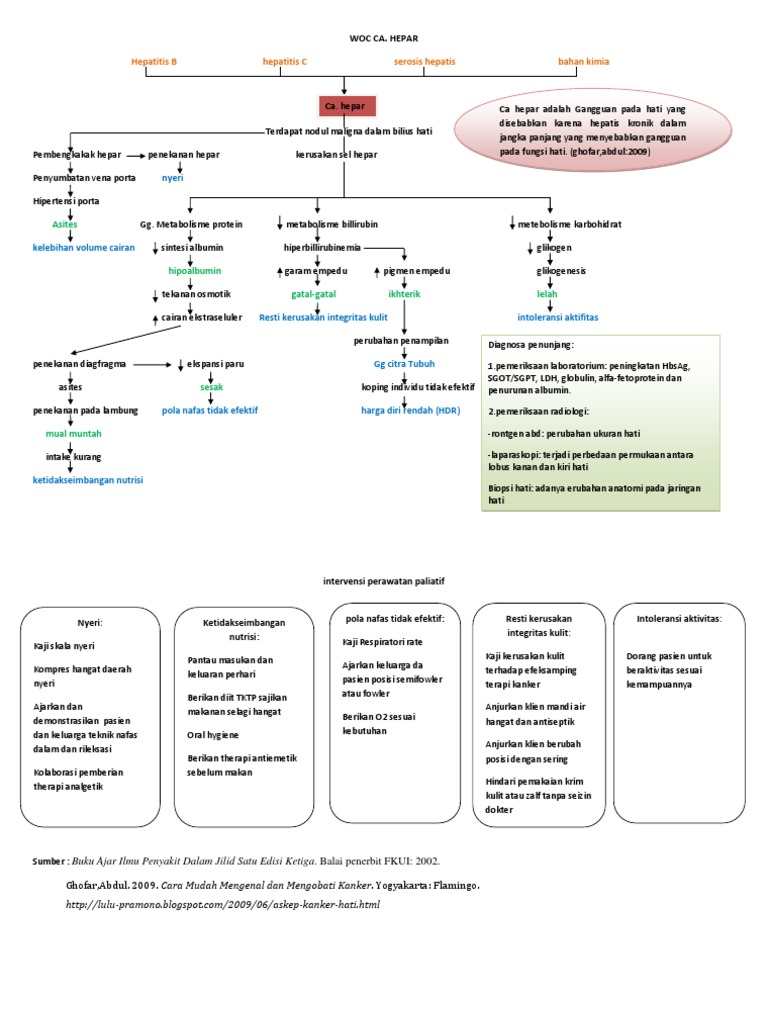 WOC CA Hepar | PDF