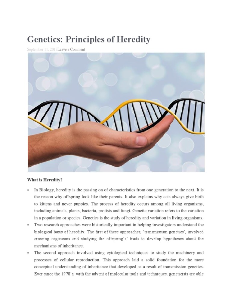 Genetics Principle of Heredity | PDF | Heredity | Dominance (Genetics)