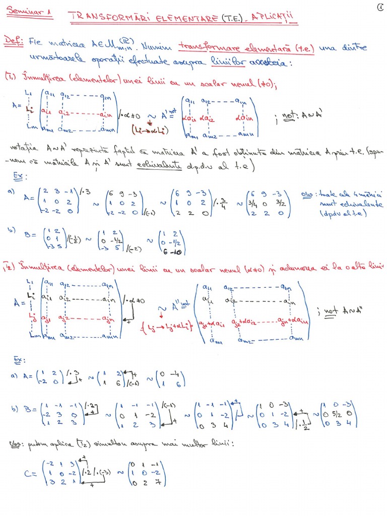 Seminar 01 (Transformari Elementare, Rangul Unei Matrici) PDF | PDF