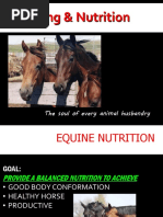 Purina Body Condition Score Diagram | PDF | Abdomen | Pelvis