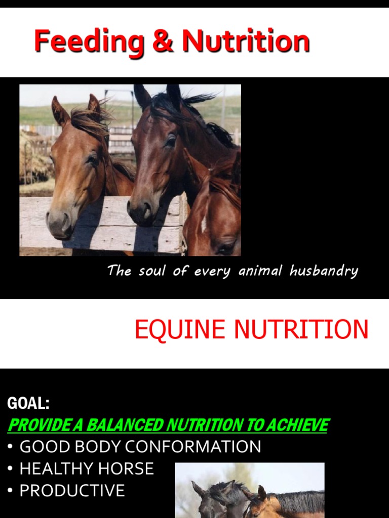Equine Nutrition Guide for Healthy Horses | PDF | Nutrition | Diet ...