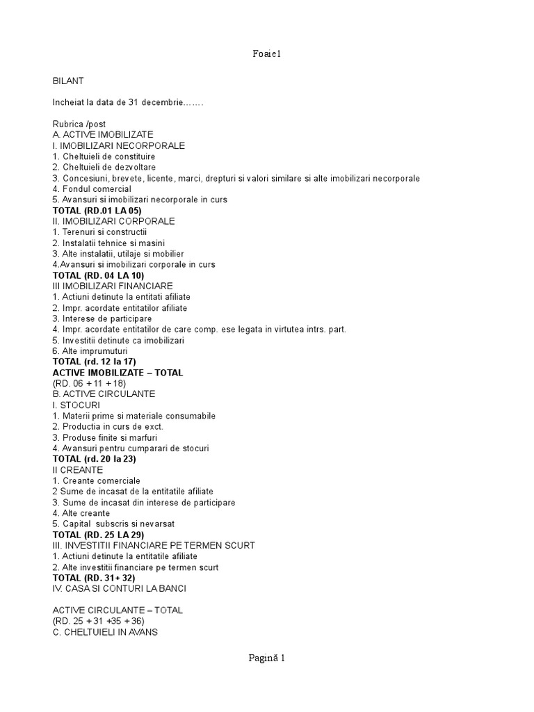 Bilant Model Excel | PDF