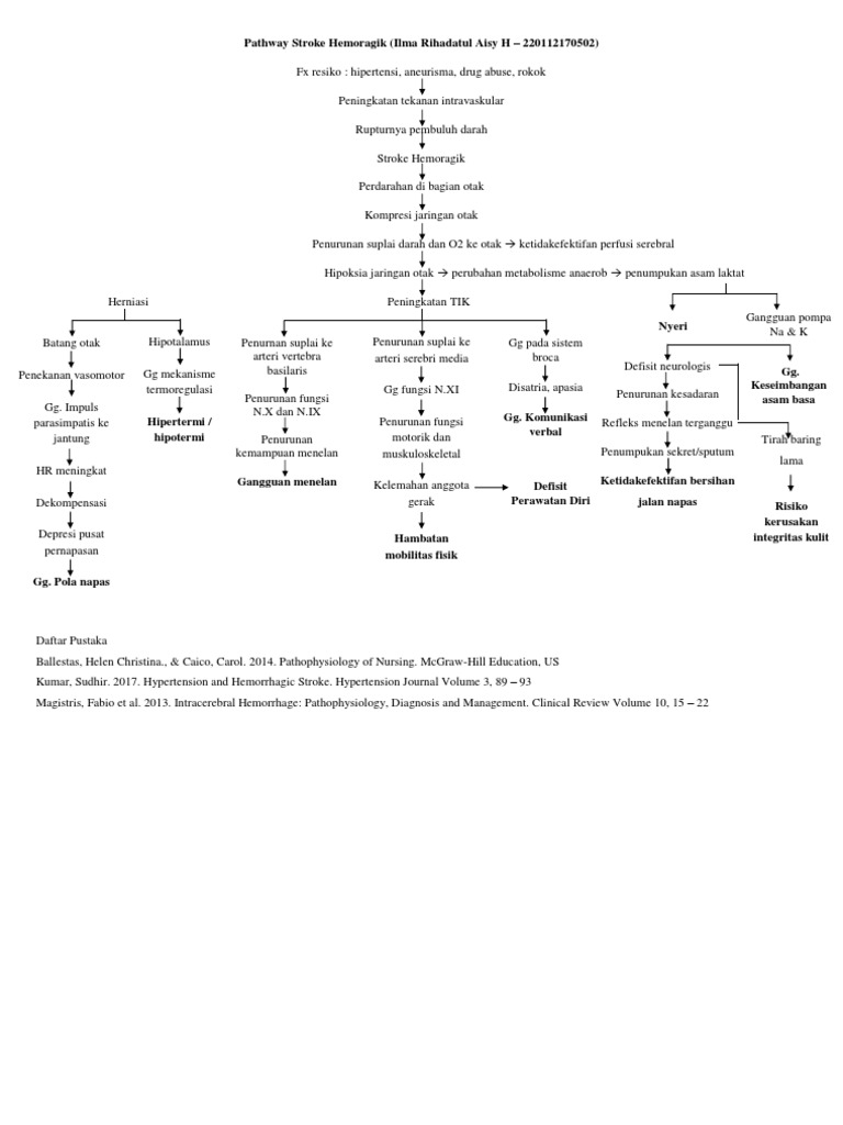 Pathway Stroke Hemoragik - Ilma | PDF