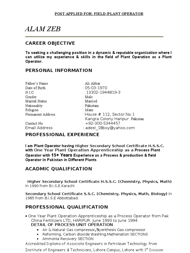 Alamzeb CV | PDF | Pakistan | Polyester