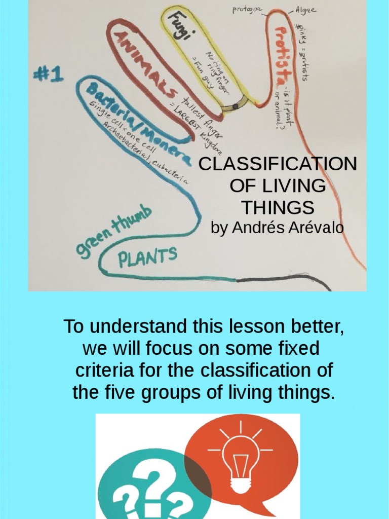 Classification of Living Things Overview | PDF | Plants | Organisms
