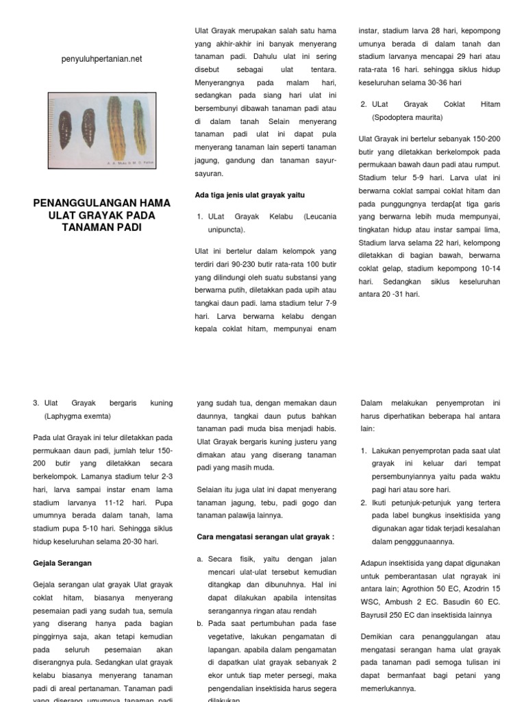 Folder Pengendalian Ulat Grayak Padi | PDF