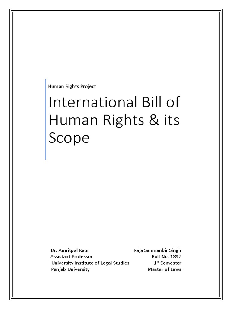 International Bill of Human Rights Overview | PDF | Human Rights | Treaty