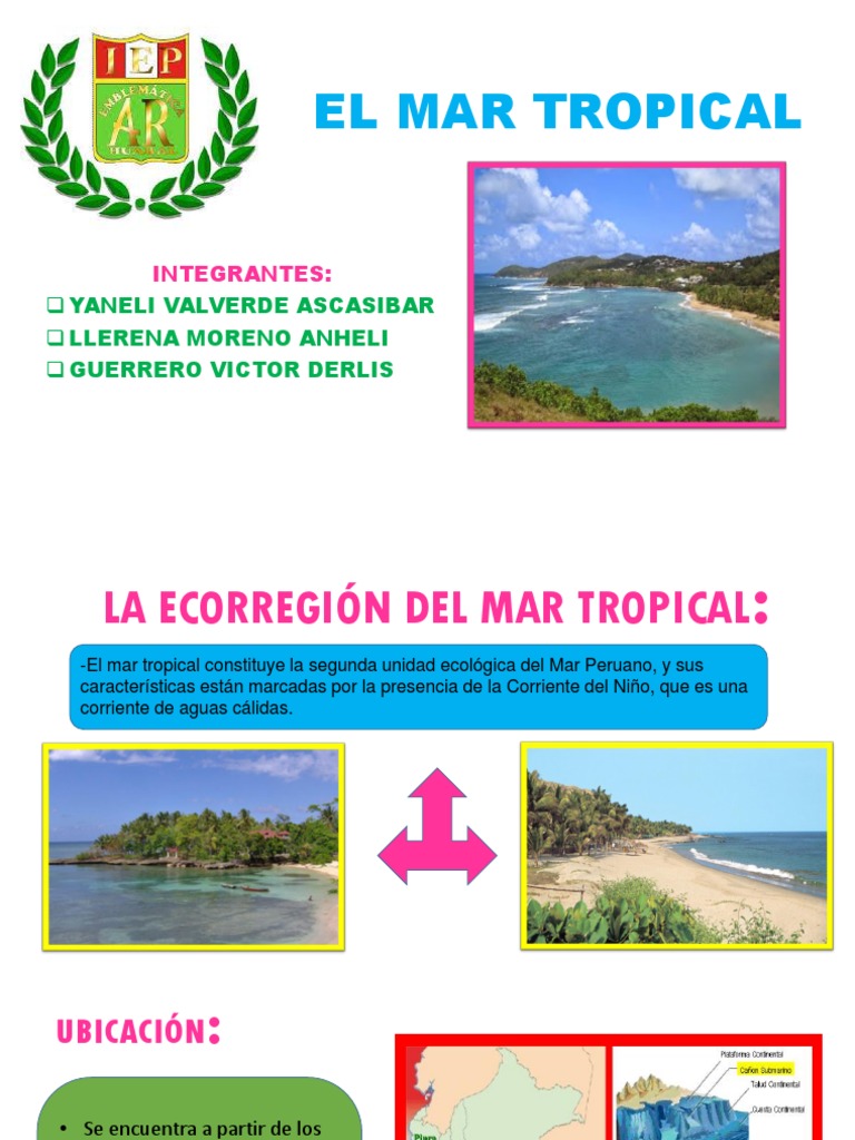Características del Mar Tropical | PDF | Mar | Ciencias de la Tierra