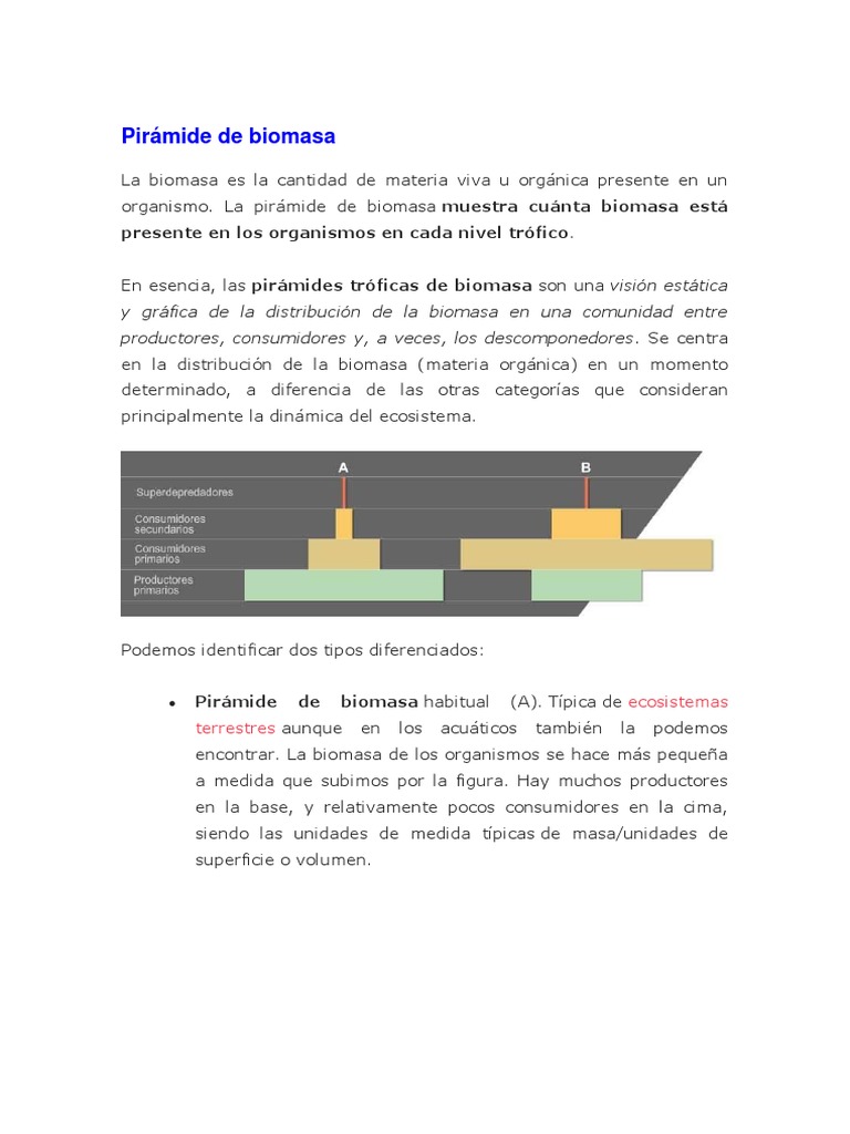 Pirámide de Biomasa y su Distribución | PDF | Naturaleza | Entorno natural
