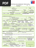 DIAT Word Formato | PDF