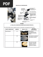 Observación de Células de Corcho al Microscopio | PDF