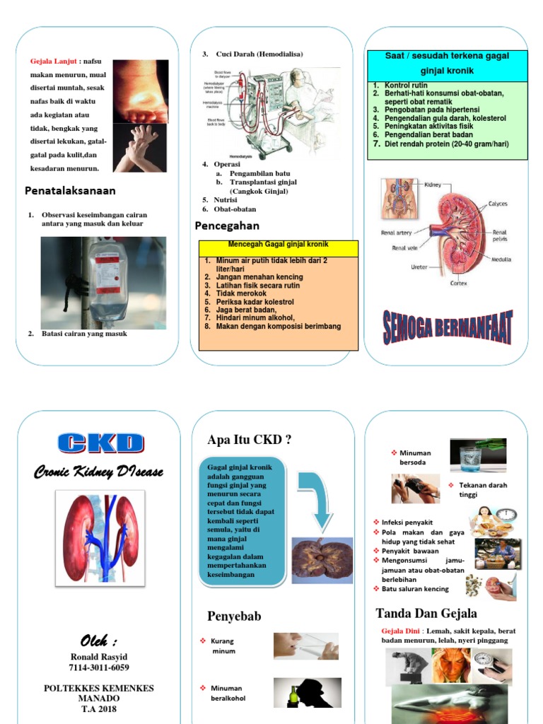 Viks. Leaflet CKD | PDF