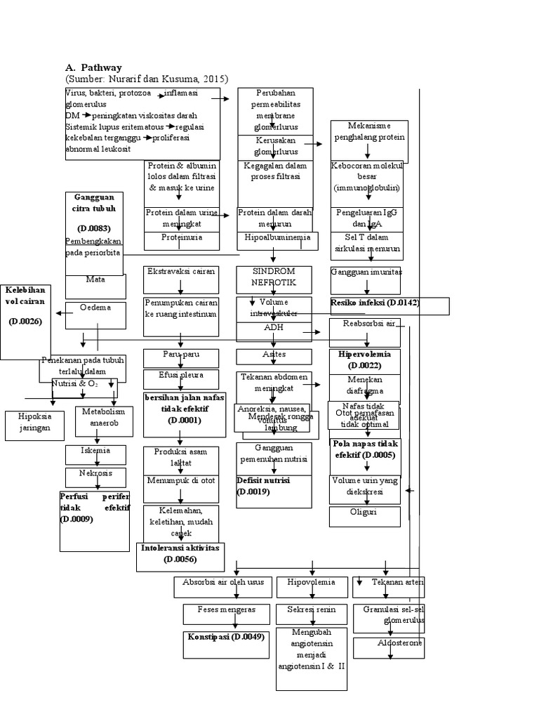 Pathway NS | PDF