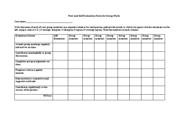 Peer and Self Evaluation Form For Group Work | PDF