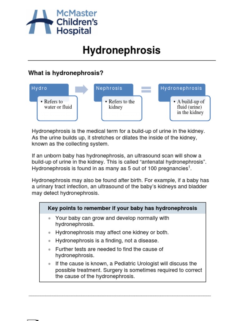 Hydronephrosis LW | PDF | Urinary System | Genitourinary System