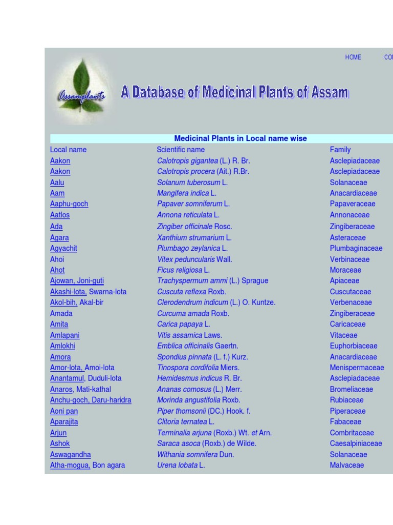 Medicinal Plants in Assam