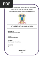 Visita Al Rastro | PDF | Carne | Matadero