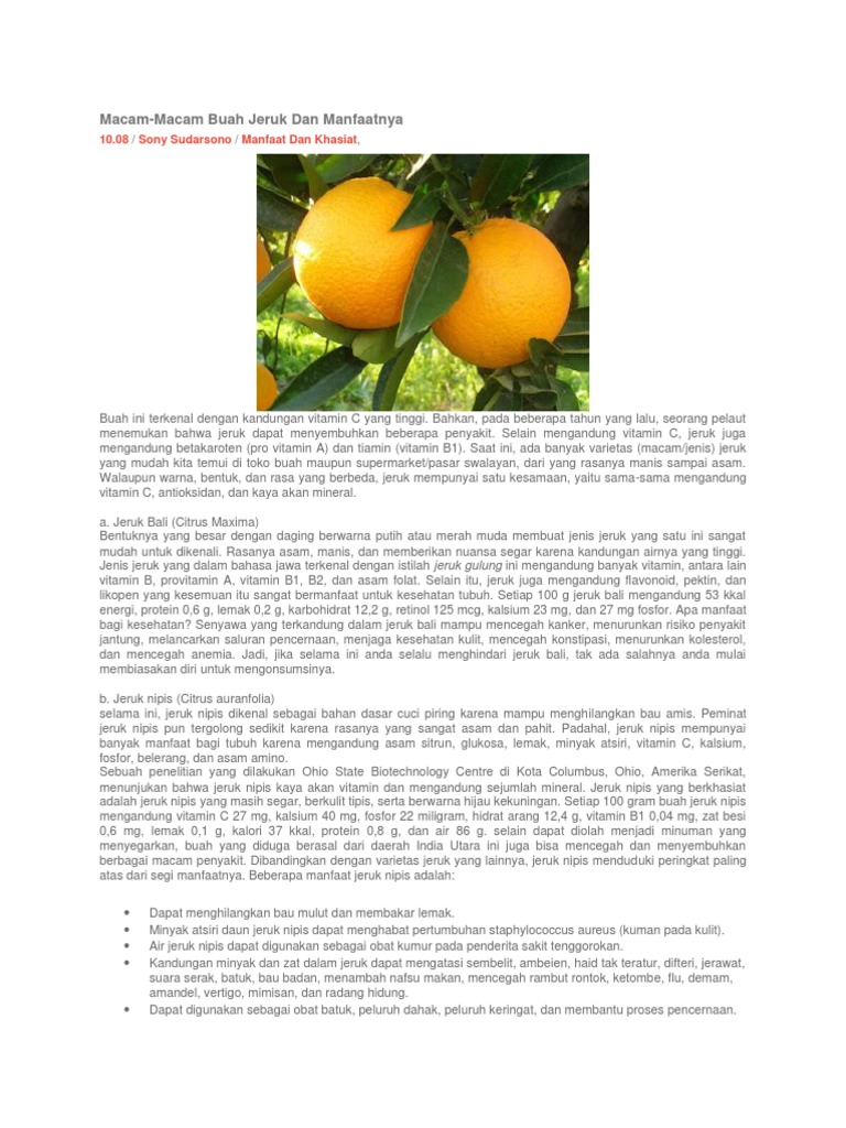 Macam Macam Jeruk | PDF