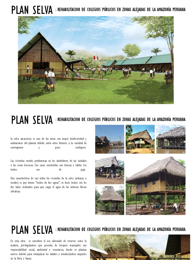 Plan Selva | Descargar gratis PDF | Selva | Los bosques
