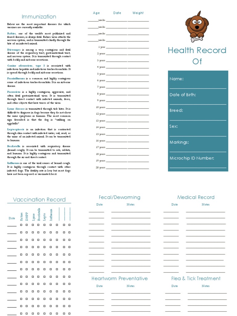 Health Record Of: Immunization | PDF | Rabies | Infection