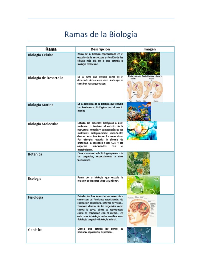 Ramas de La Biología | PDF | Organismos | Biología