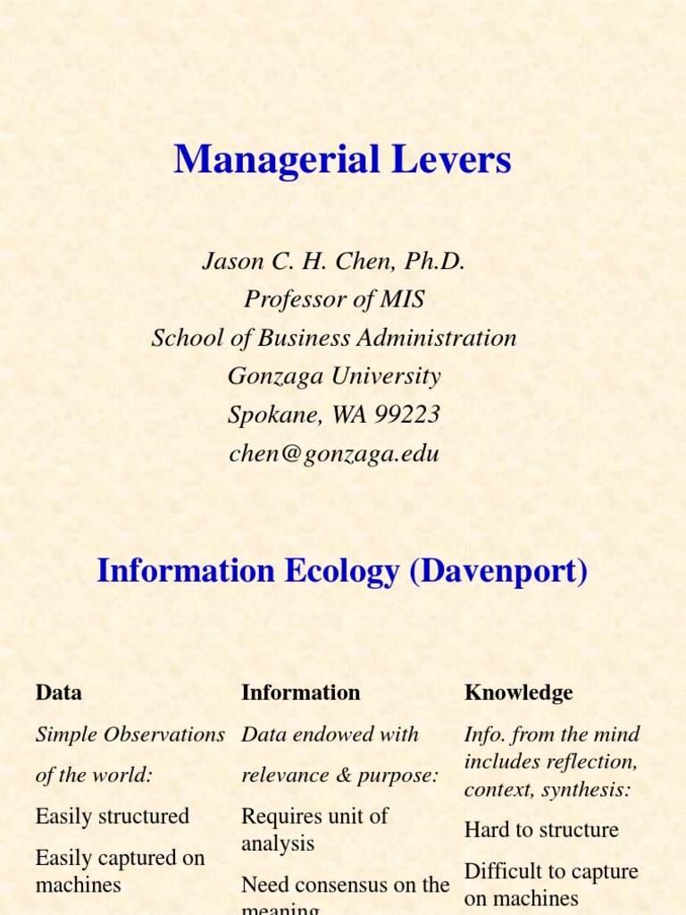 Management Levers New | PDF | Strategic Management | Business Process
