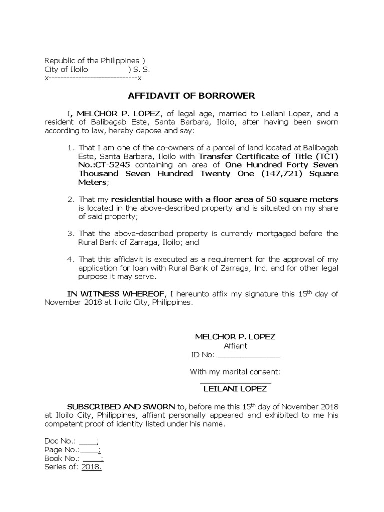 Affidavit of Borrower | PDF