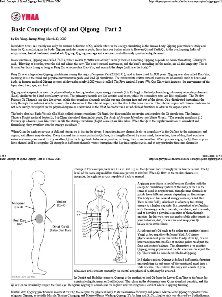 Basic Concepts of Qi and Qigong - Part 2 | PDF | Qigong | Qi