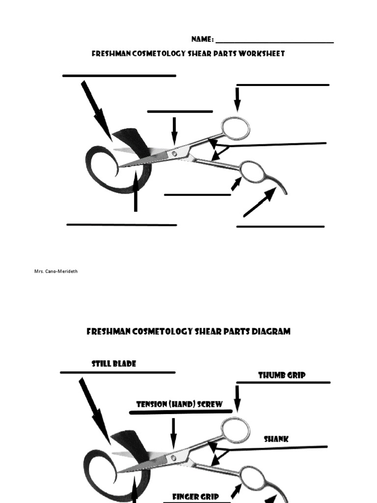 Shear Parts Worksheet for Cosmetology | PDF