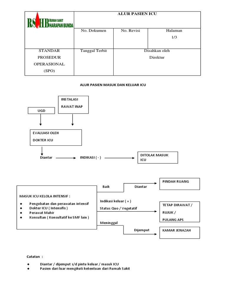 Alur Pasien Icu | PDF