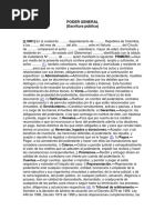 Poder General Modelo | PDF