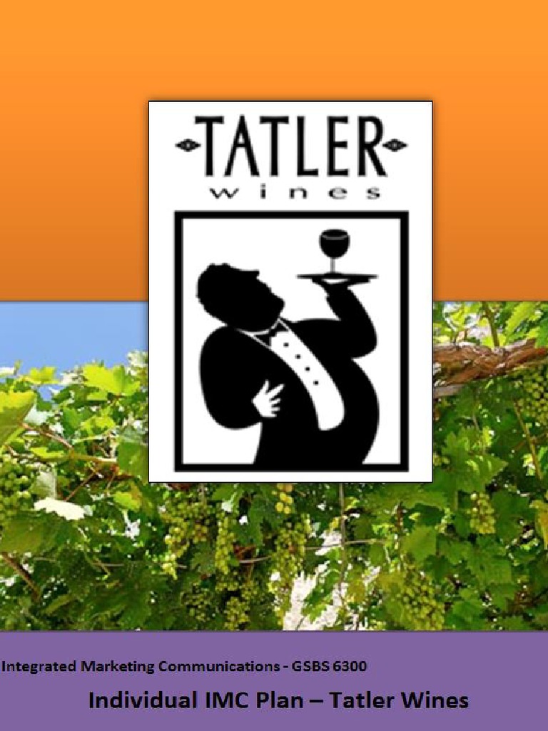 IMC Example Plan 1 | PDF | Social Media | Popular Culture & Media Studies