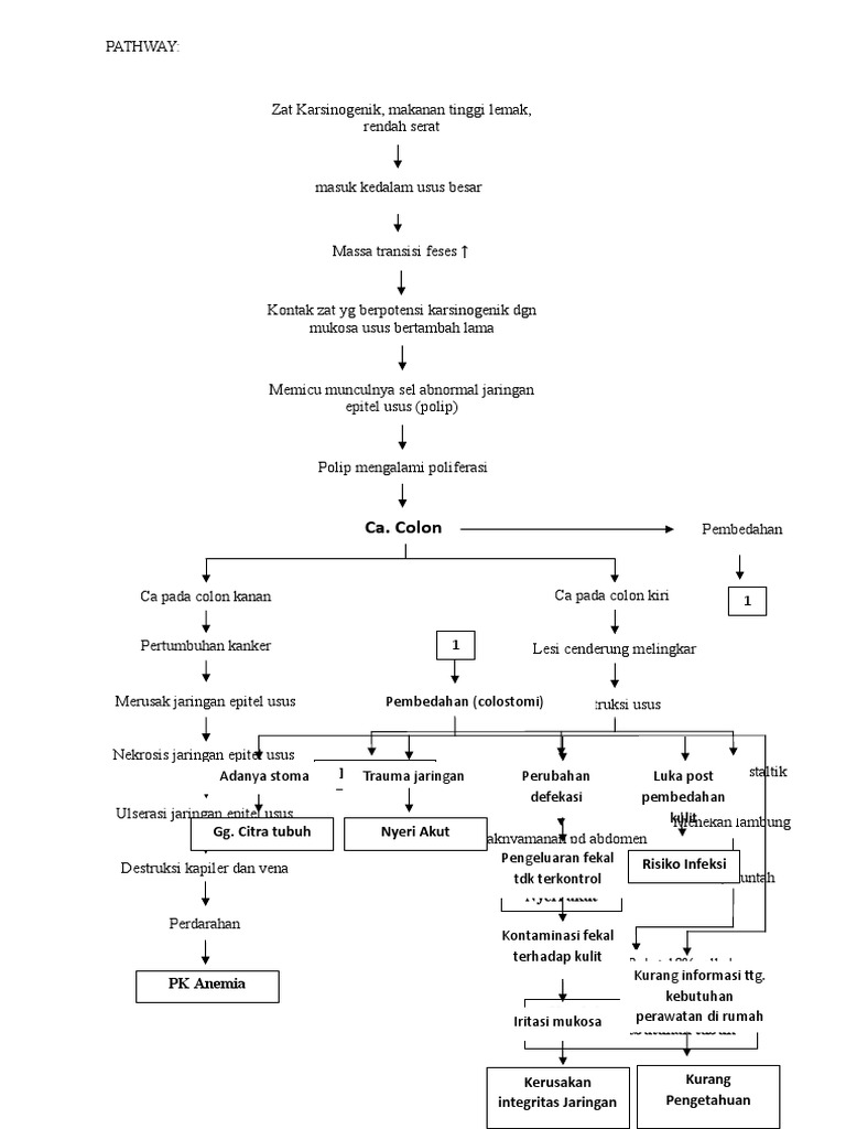 Pathway CA Kolon | PDF
