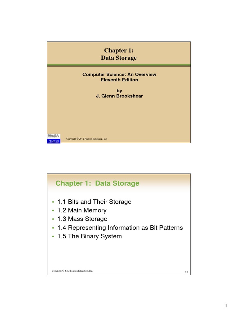 Chapter 1: Data Storage | PDF | Computer Data Storage | Random Access Memory