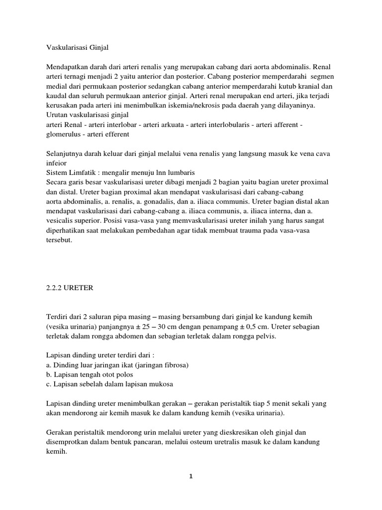 Vaskularisasi Ginjal | PDF