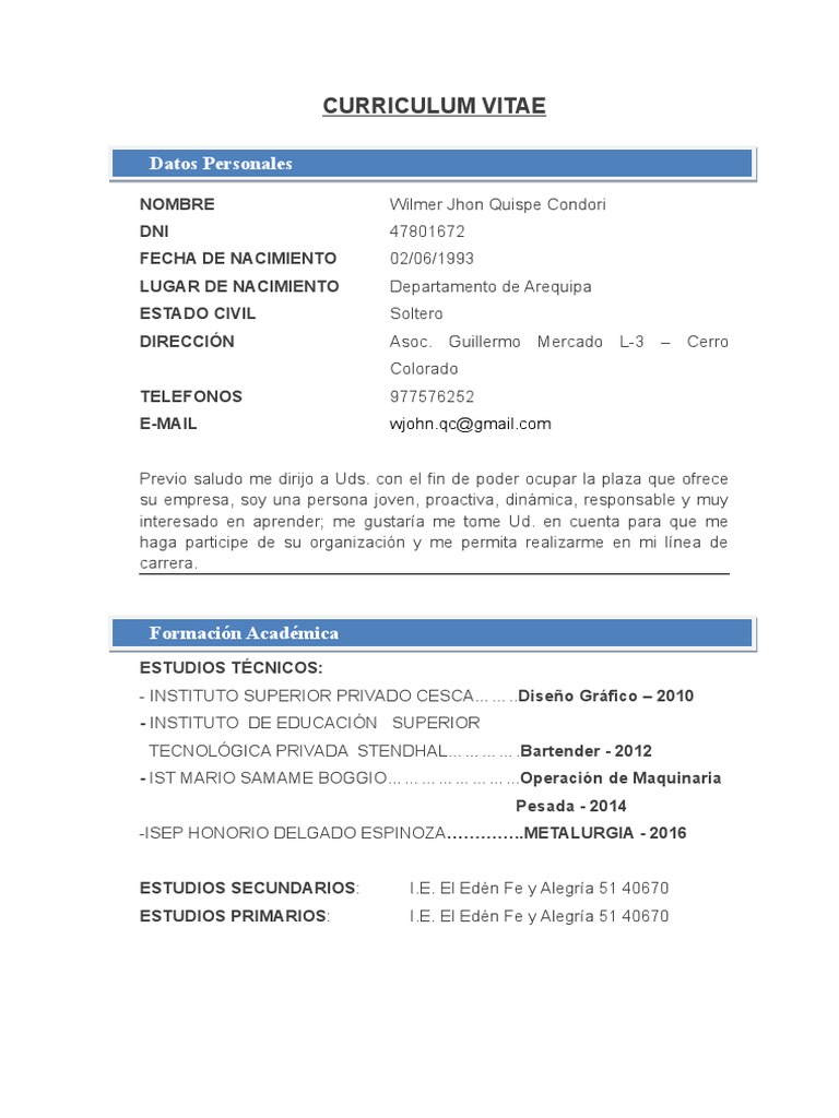 Curriculum Vitae | PDF | Club nocturno | Educación avanzada