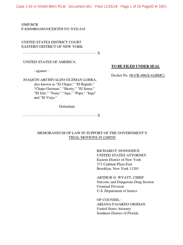 El CHapo Trial Gov Motions and To Preclude | PDF | Hearsay | Relevance ...