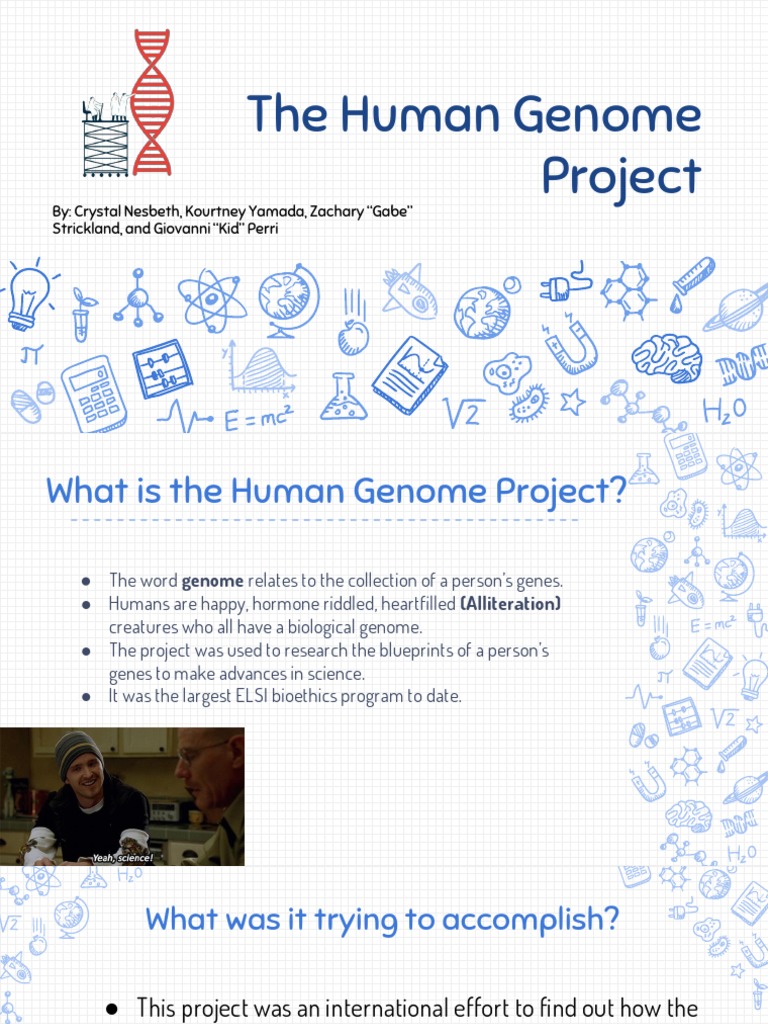 The Human Genome Project | PDF